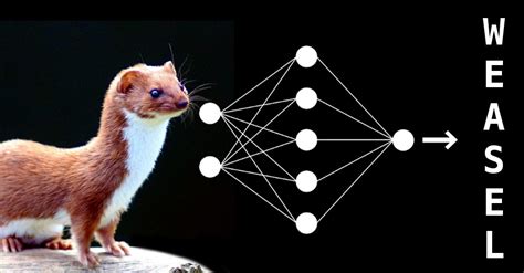 VGG In TensorFlow Davi Frossard