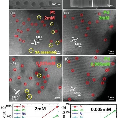 A Top‐surface And B Cross‐section Scanning Electron Microscopy Sem