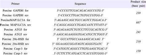 Composition Of The In Vitro Maturation Medium Download Scientific Diagram