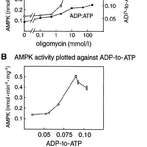A Effect Of Oligomycin On Total Ampk Activity And Adp To Atp Ratio In Download Scientific