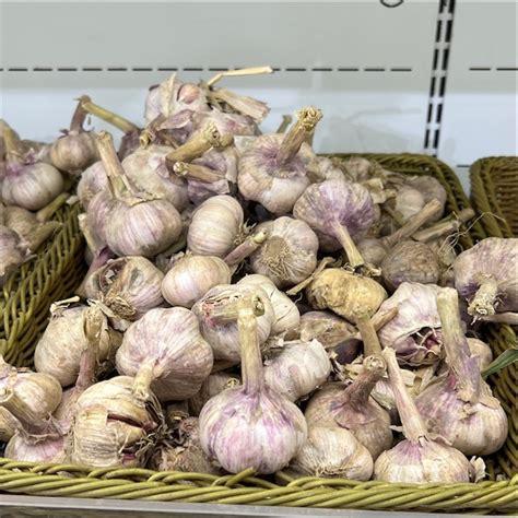 Galeux d' Eysines Squash Information, Recipes and Facts