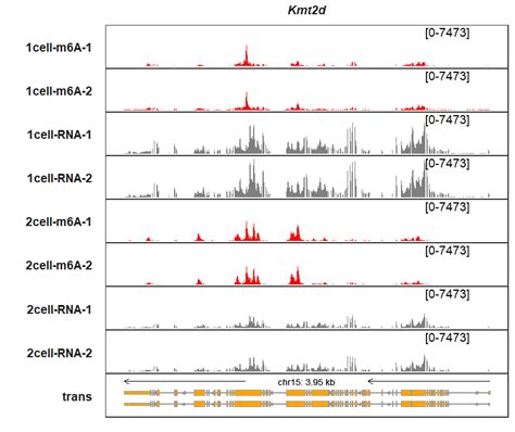 Chapter 5 Basic Visualization Biosequtils Reference