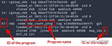 一篇深入解析btf 实践指南bpftool Prog Load Type Bpf Csdn博客