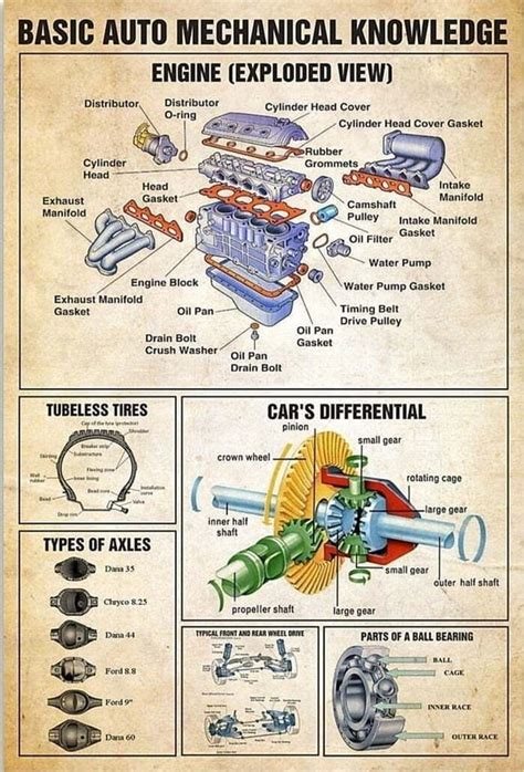 BASIC AUTO MECHANICAL KNOWLEDGE ENGINE EXPLODED VIEW Distributor Distributor Cylinder Head