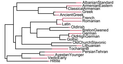 Ultrametric Phylogenetic Tree Phylogenetic Sampling Affects