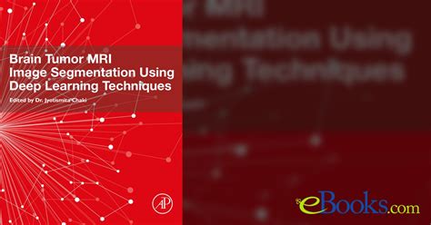 Brain Tumor Mri Image Segmentation Using Deep Learning Techniques
