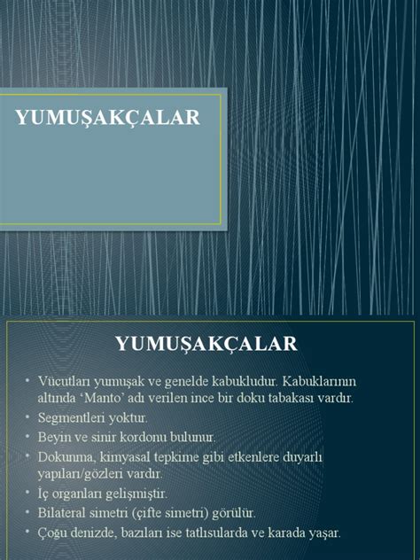 Yumuşakçalar Pdf