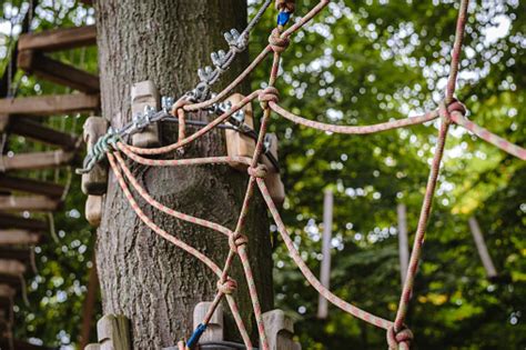 어드벤처 파크의 다리 로프 및 사다리는 키가 큰 나무 사이의 초보자를 위해 설계되었습니다 높은 로프 코스에서 모험 등반 0명에 대한 스톡 사진 및 기타 이미지 Istock