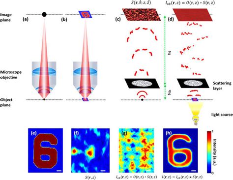 Scatter Plate Microscope For Lensless Microscopy With Diffraction