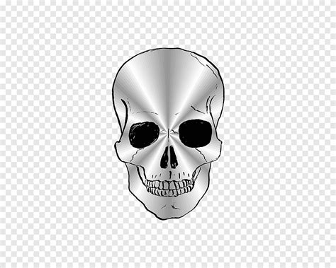 인간의 두개골 상징 유클리드 해골 두개골 얼굴 플레이트 Png Pngegg