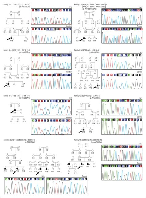 Mutation Analysis By Sequencing Squares Indicate Males Circles Download Scientific Diagram