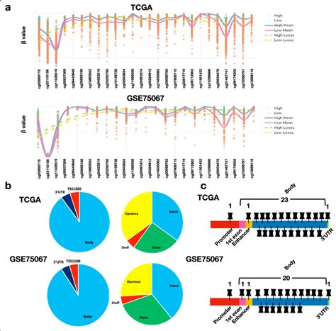 Differential Methylation Analysis Between Tumor Samples With High And Download Scientific