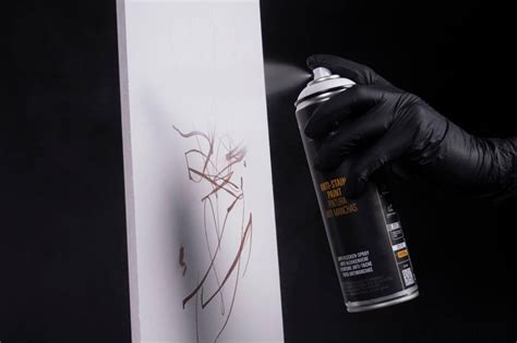 Spray Mtn Pro Stain Coverage 500ml