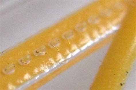 Ampoule Led Blanche Cob Astuces Pratiques