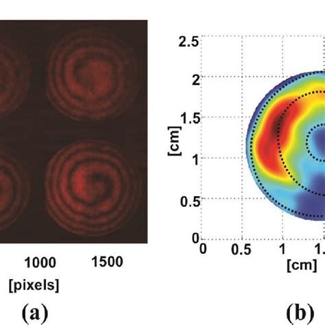 Spiral Interferometry A Four Simultaneous Patterns B Opd Download