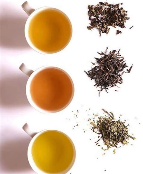 Health Benefits Of Different Types Of Tea And Preparation Guide
