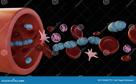 3d Rendering Of Septicemia Or Sepsis By Streptococcus Pyogenes Stock