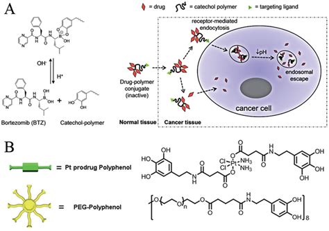 A Schematic Illustration Of The Functionalization Process Of