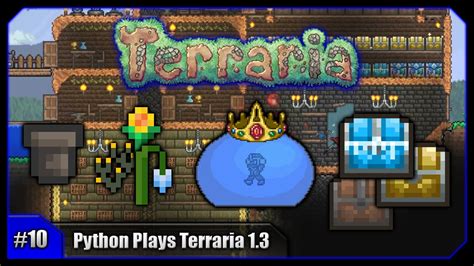 Python Plays Terraria King Slime Storage Room Plant Room