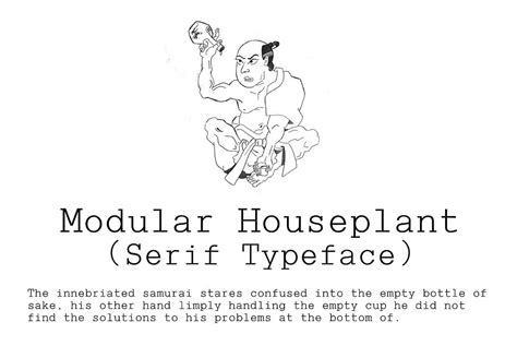 Modular Serif Monospace Font Siteoutsite