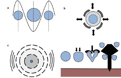 Schematic Representation Of Various Bubbles Interaction With The Download Scientific Diagram