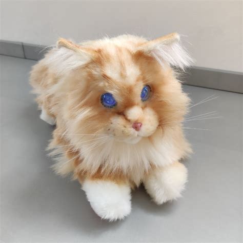 Kot Robot Metacat Persian 2 0 Od Elephant Robotics ChorzÓw Kup