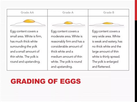 Grading And Quality Parameters Of Eggs Pptx