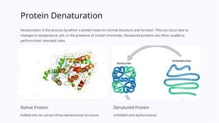 Amino-Acids-Peptides-and-Proteins-Structure-and-Classification.pptx | Chemistry | Science