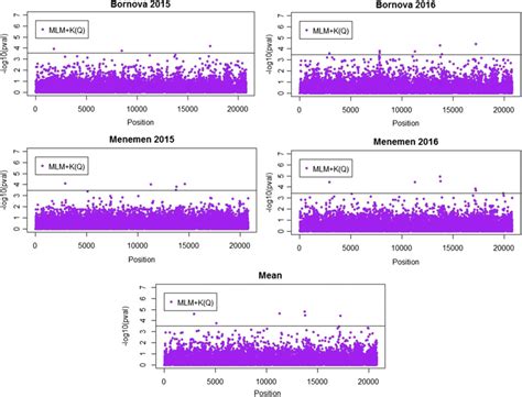 Manhattan Plots For Days To Flowering Of Common Bean Accessions Over