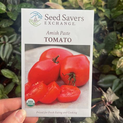 Seed Savers Tomato Amish Paste Kleins Floral And Greenhouses