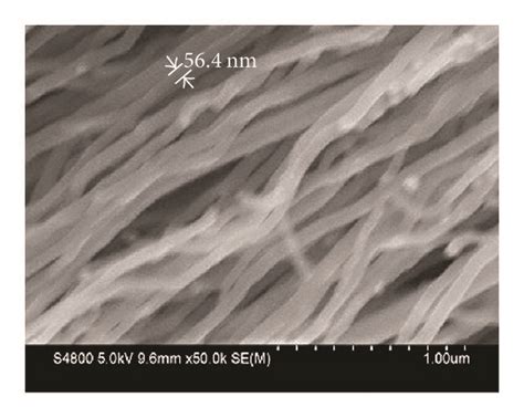 A 3 5k Times The Top Of The Array Sem Image B 50k Times The Top Of Download Scientific