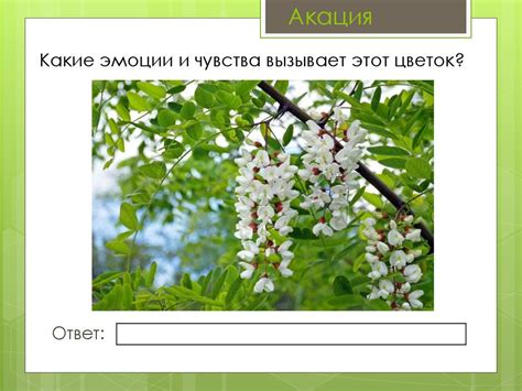 Опросник. Какие эмоции и чувства вызывает цветок - презентация онлайн