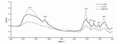 锌铜胁迫对 Bacillus Vallismortis Eps组分变化特征及其吸附性能的影响