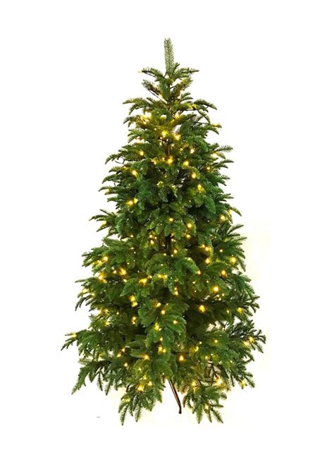 ნაძვის ხე Archives Interiorismo