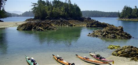 5 Day Broken Group Islands Expedition Hello Nature Adventure Tours