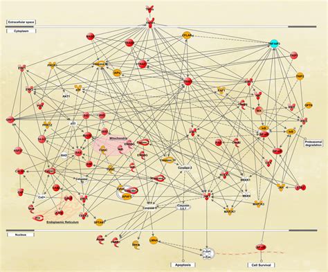 Bioinformatic Analysis Of The Comparative Proteomic Data Ipa Download Scientific Diagram