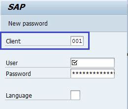 How To Change The Default Logon Client On SAPGUI L SAP Community