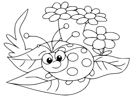 Curious Ladybug Coloring Page Download Print Or Color Online For Free
