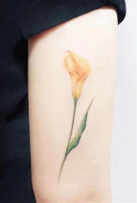 Calla Lily Tattoo Drawings