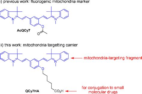 Figure From Design And Synthesis Of A Mitochondria Targeting Carrier For Small Molecule Drugs