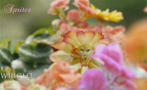 Sprites Spiderwick By Almiux19 On Deviantart