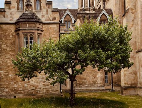 Nando De Freitas Microsoft Ai