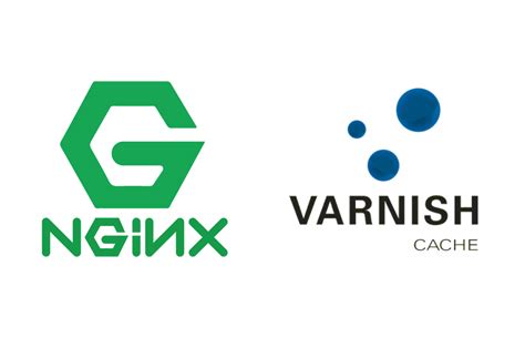 Redirection Error Nginx Varnish Solution Solved