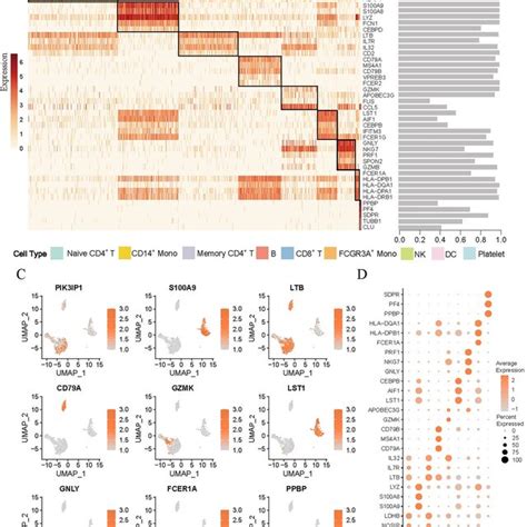 Assessment The Plausibility Of Marker Genes A Heatmap Of The Download Scientific Diagram