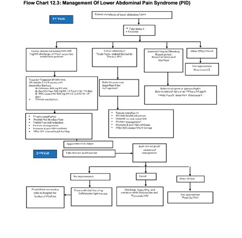 Lower Abdominal Pain Syndrome Or Pelvic Inflammatory Disease Pid