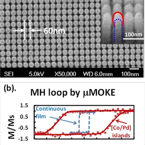 A Sem Micrograph Top View Of The Patterned [co Pd] Islands With Download Scientific