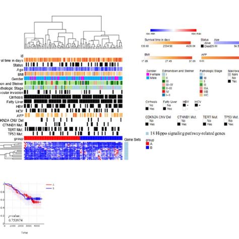 Molecular Classification Of Hcc Data From The Cancer Genome Atlas