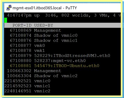 Wireshark Packet Sniffer Point Switch Port Paullio