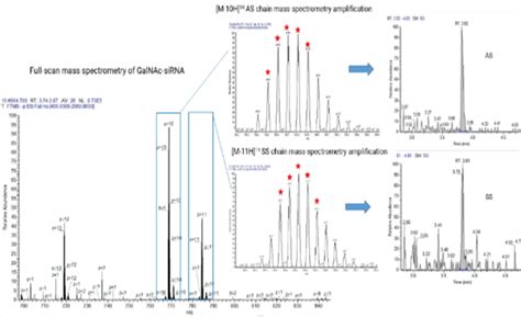 The Essential Role Of Hfip In Lc Ms Oligonucleotide Analysis