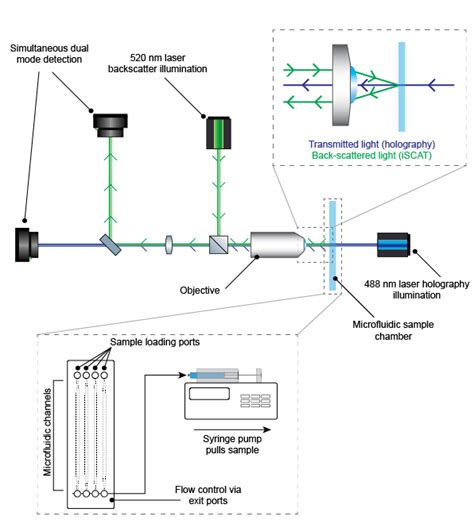 General Description Holtra